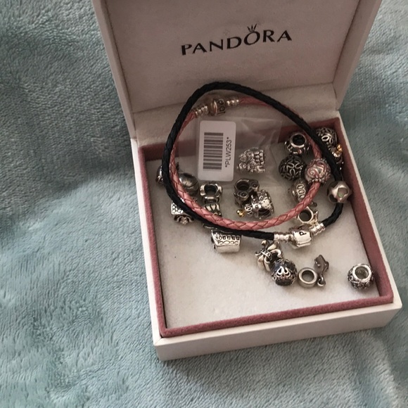 Pandora | Jewelry | Pandora Memory Snake Bracelet | Poshmark